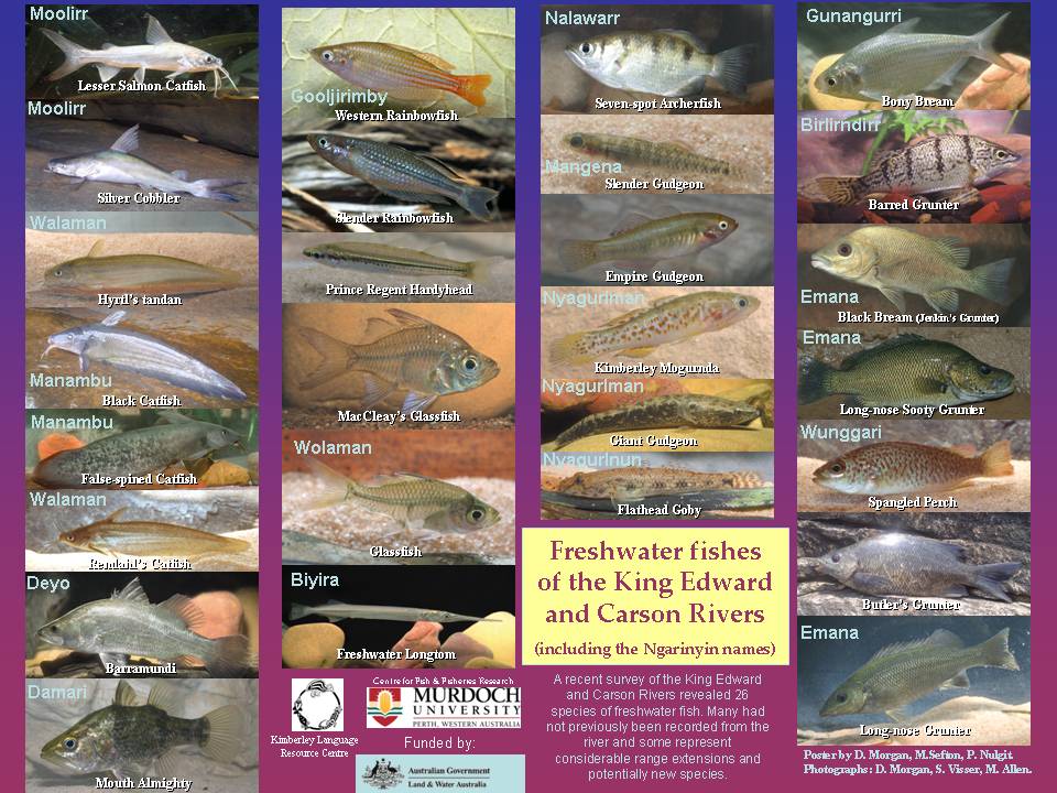 Freshwater Fish Group & Fish Health Unit